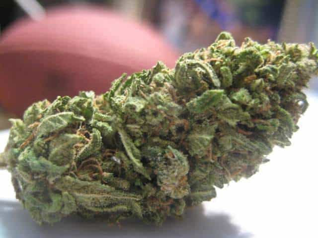 Buy AK 47 - Cannabis Cornerstone