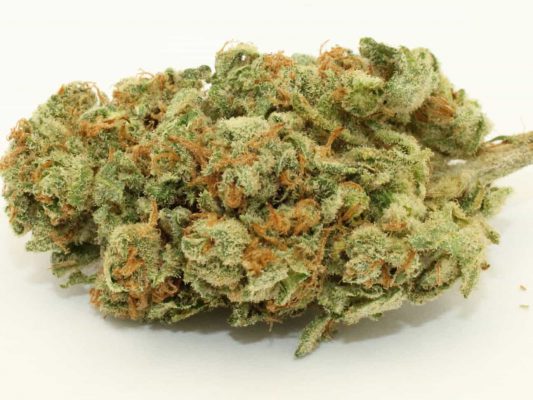 Buy Sour Diesel - Cannabis Cornerstone