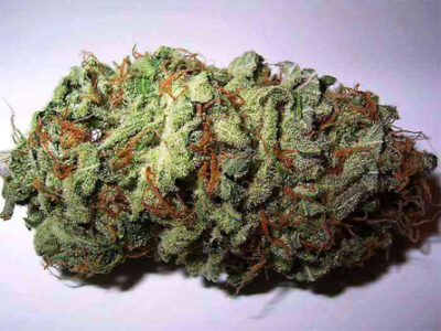 Buy Sweet Tooth - Cannabis Cornerstone